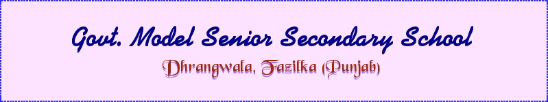 Govt. Model School